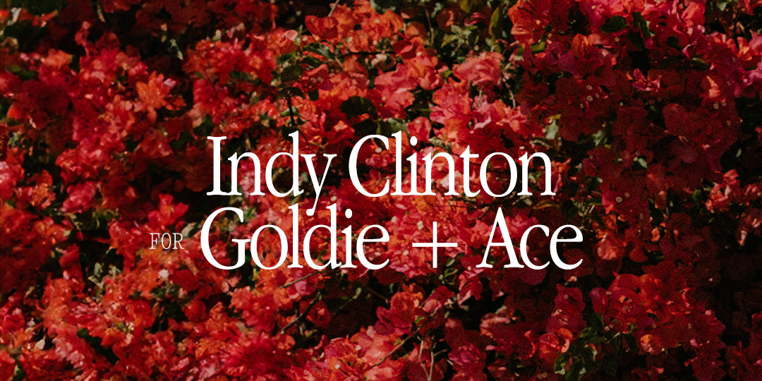Indy Clinton for Goldie + Ace